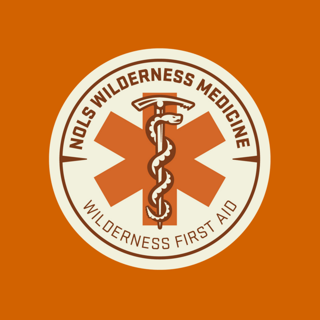 Wilderness Medicine Badges