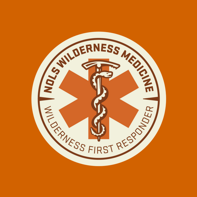 Wilderness Medicine Badges