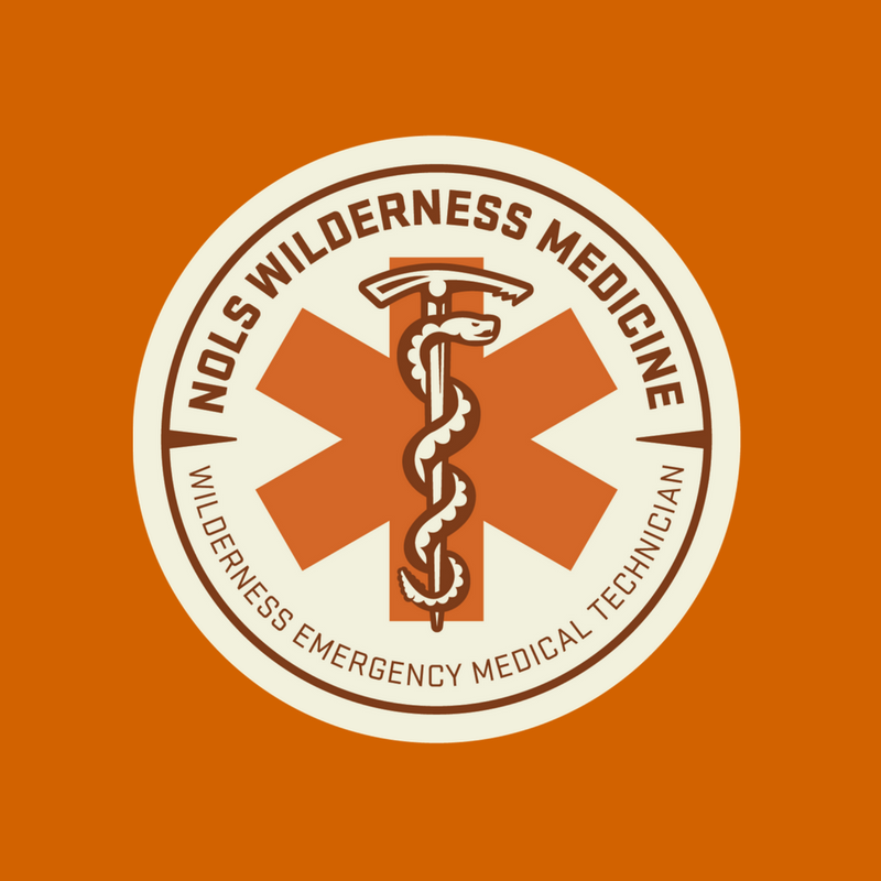 Wilderness Medicine Badges