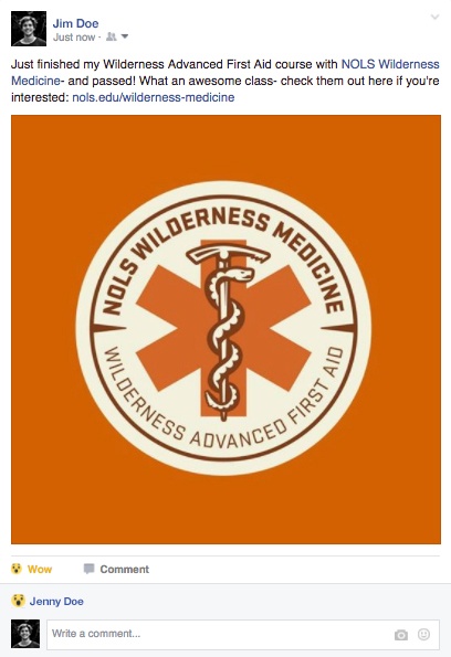 Wilderness Medicine Badges