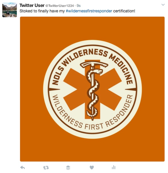 Wilderness Medicine Badges
